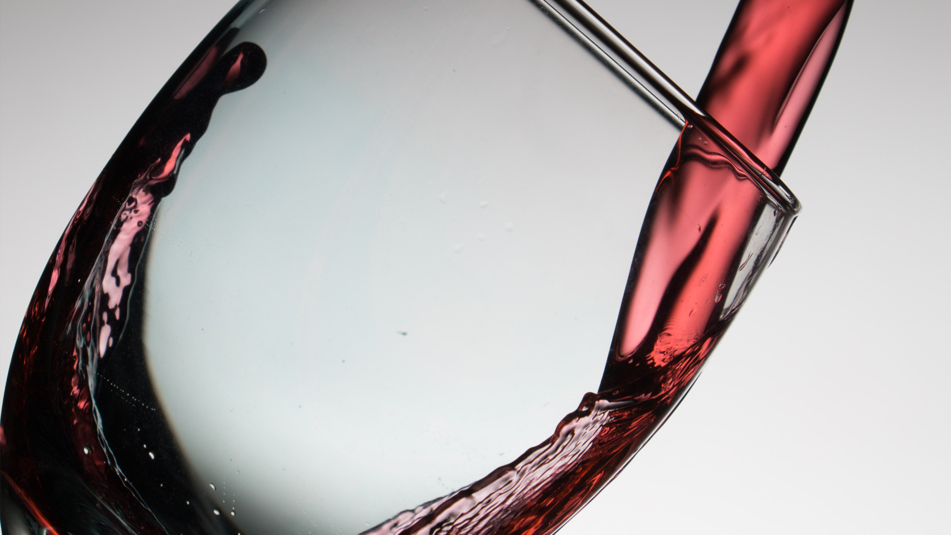 Tinto – Casa dos vinhos 14 Regiões